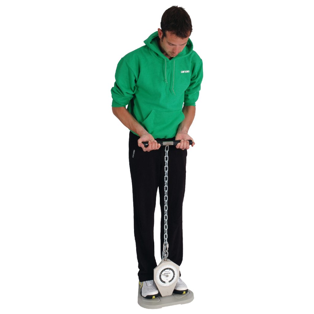 Saehan Back-Leg-Chest Dynamometer - Mediotronics Physical Medicine (Pty ...